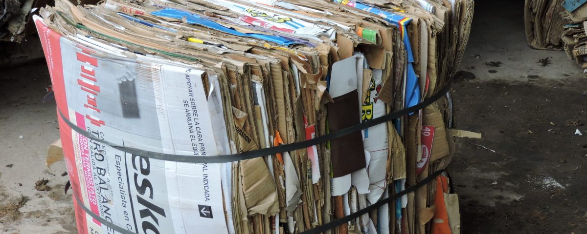 Se recuperaron alrededor de 50 mil kilos de cartón | Municipalidad de ...
